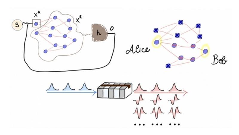 Reti quantistiche complesse - Portale dello Studente